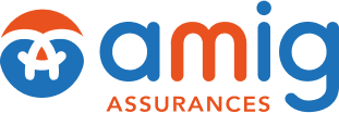 Amig
